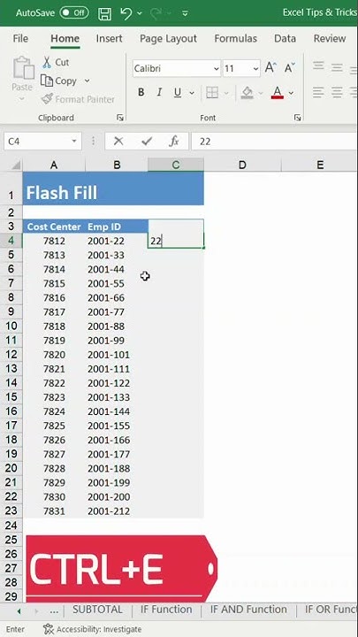 How to Use Flash Fill Option in Microsoft Excel? - YouTube