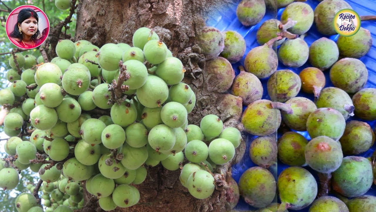 How to eat fresh figs - full of iron and Antioxidant | Fig fry | Anjeer ...