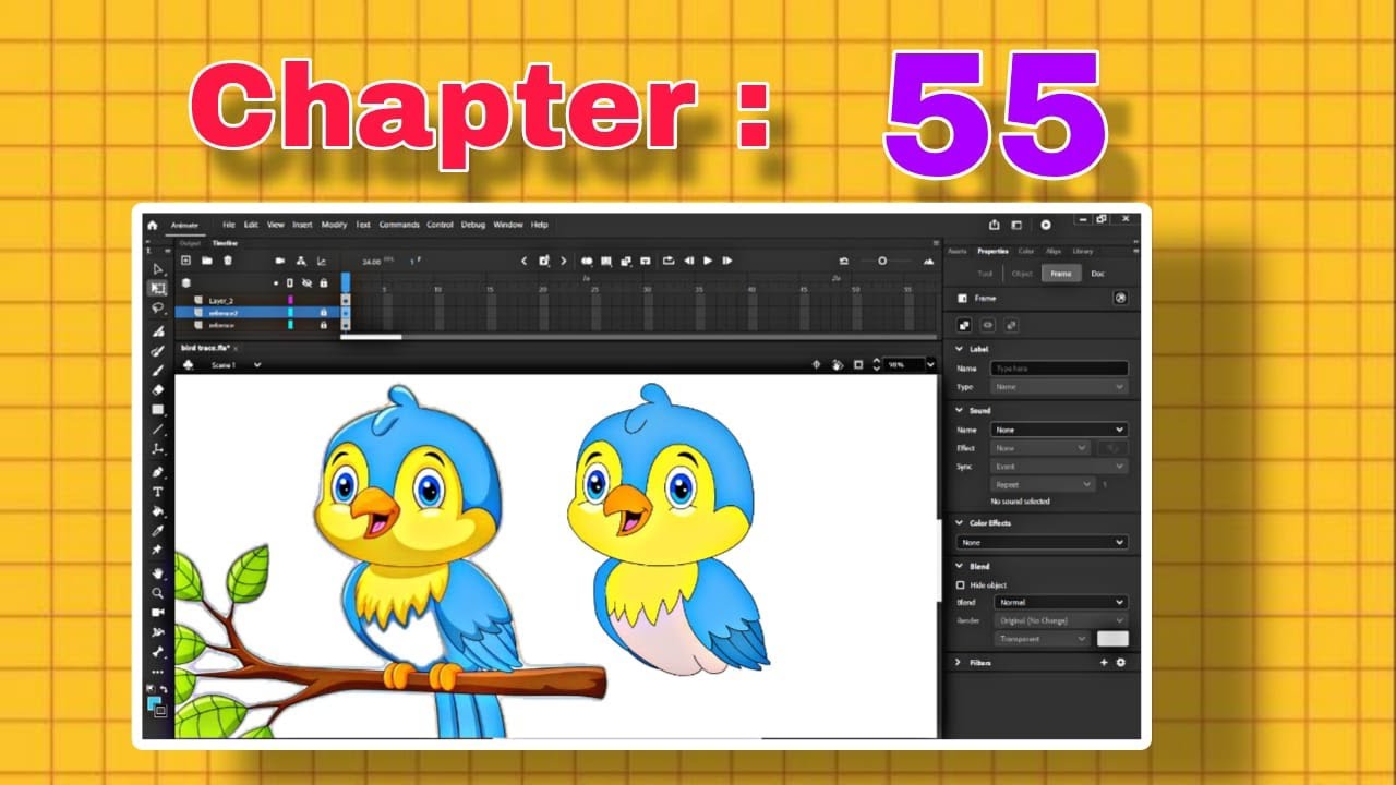 How to Trace Bird Character Mid Body in Adobe Animate | Easy Animation ...
