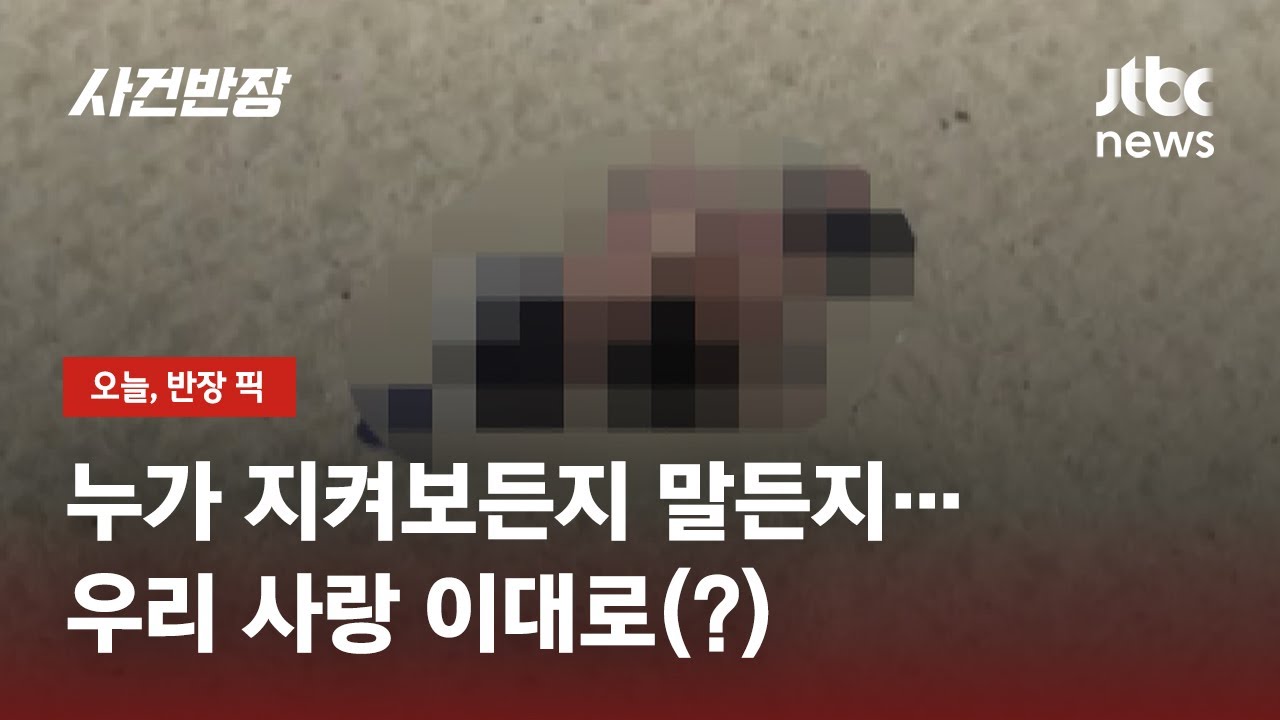 사람 많은 바닷가에서 허물 벗은 듯 진한 애정 행각을… Jtbc 사건반장 Youtube