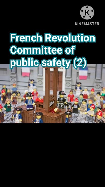 French Revolution: Committee of Public safety (2) #shortsfeed #shorts # ...