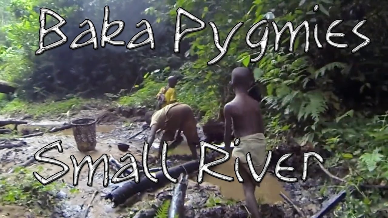 Baka Pygmies - Fishing in a small stream - YouTube
