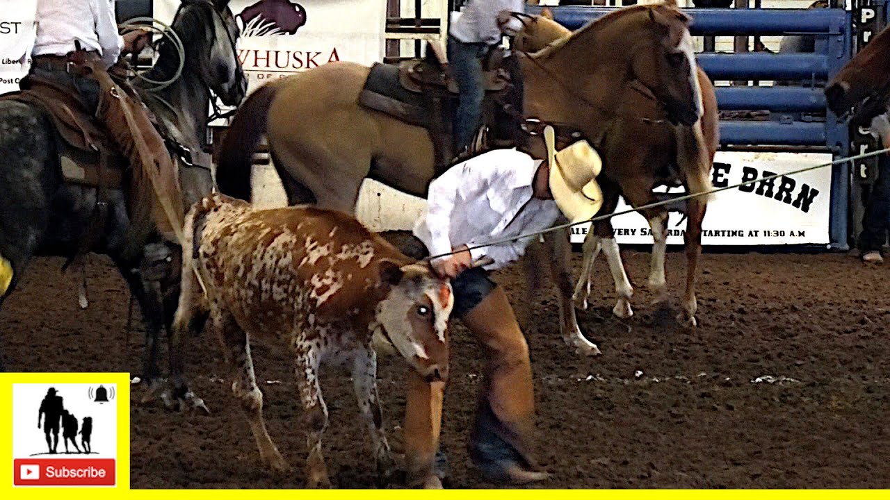 Team Doctoring - 2022 Ben Johnson Days Youth Ranch Rodeo | Censored ...