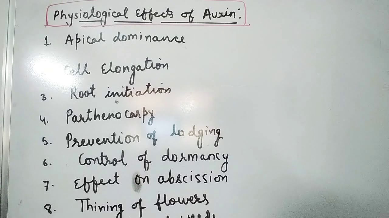 Auxin Physiological Effects Part 2 YouTube auxin-physiological-effects-part-2-youtube