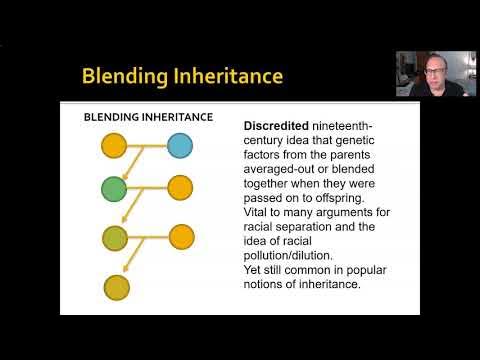 ANTHR 1-Ch 4-03 Blending Inheritance - YouTube