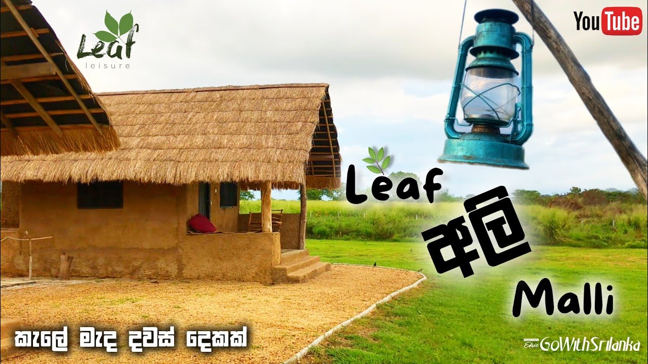කැලේ මැද තියෙන නිදහස් නවාතැන|Leaf 🌿Ali Malli Thanamalwila|Freedom Of ...
