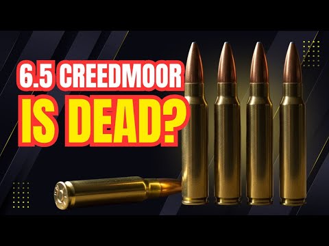 Top 7 Cartridges That Shoot Flatter & Harder Than 6.5 Creedmoor