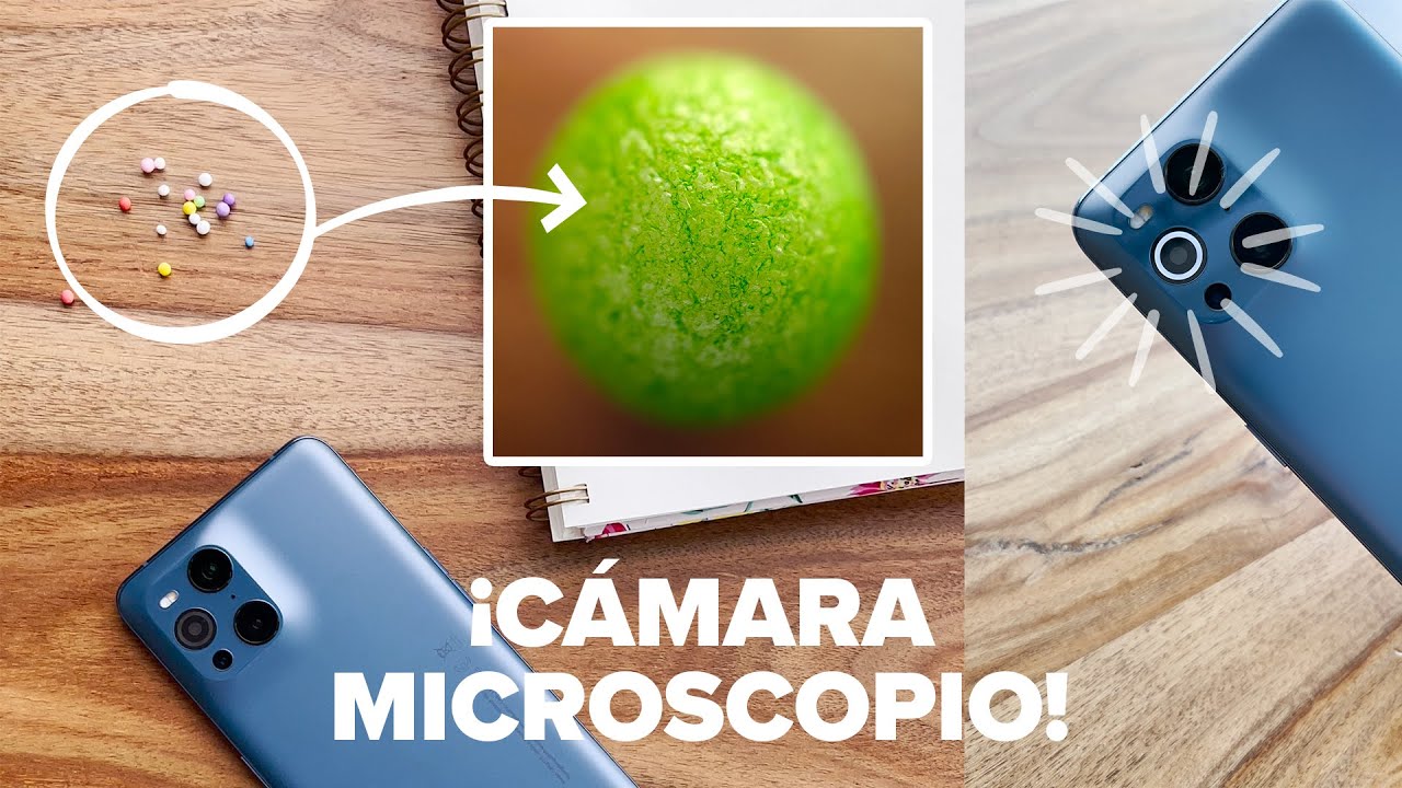 CÁMARA de MICROSCOPIO en un teléfono!! Oppo Find X3 Pro | Hipertextual ...