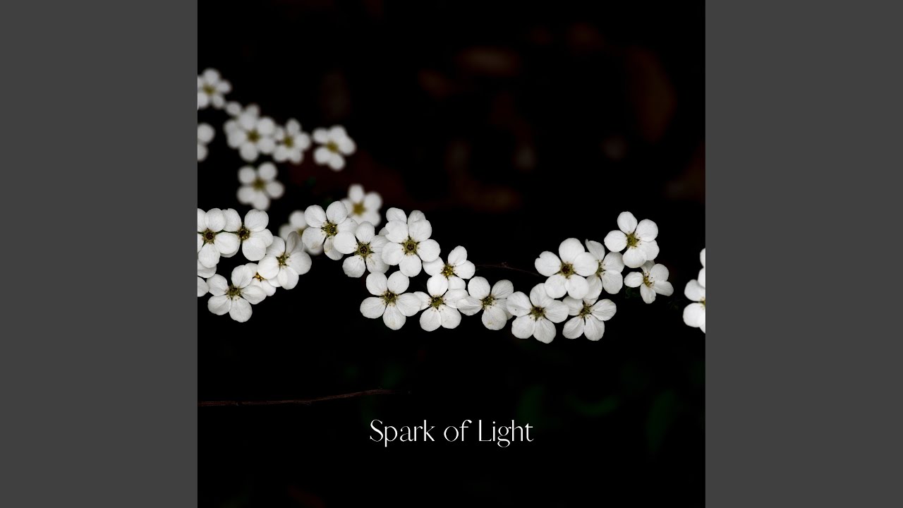 Spark of Light - YouTube