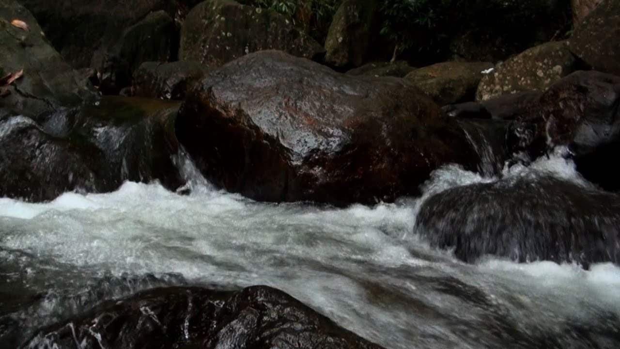 Freely flowing Kallar River, Thiruvananthapuram - YouTube