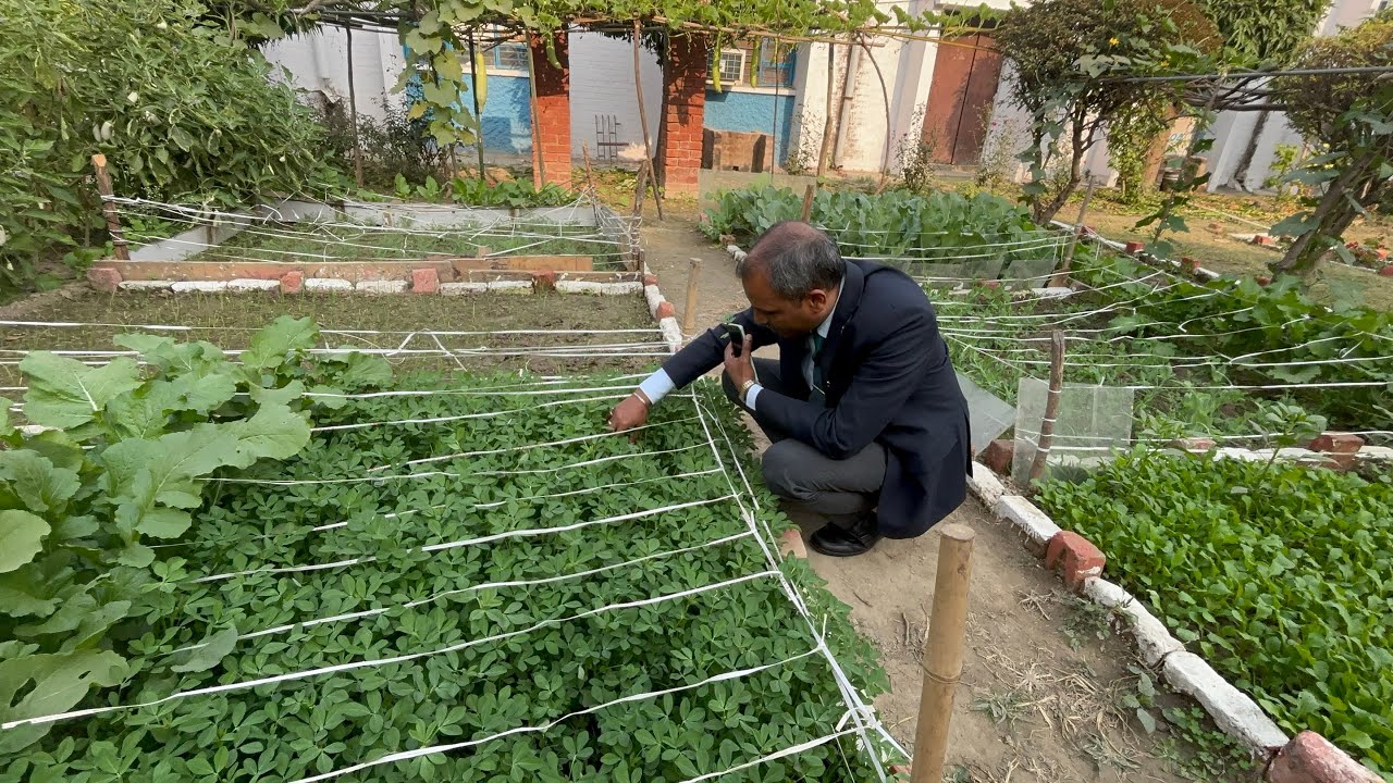 Kitchen Garden @ PM SHRI KV NO 1 CHAKERI,KANPUR 02.12.2024 - YouTube