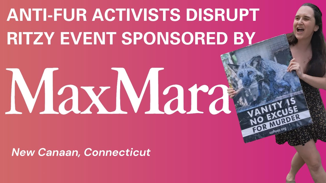 Anti-Fur Protesters Disrupt Ritzy Event Sponsored By Max Mara - YouTube