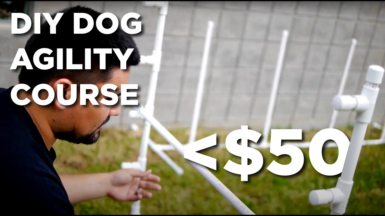 DIY dog agility course for under $50 - YouTube
