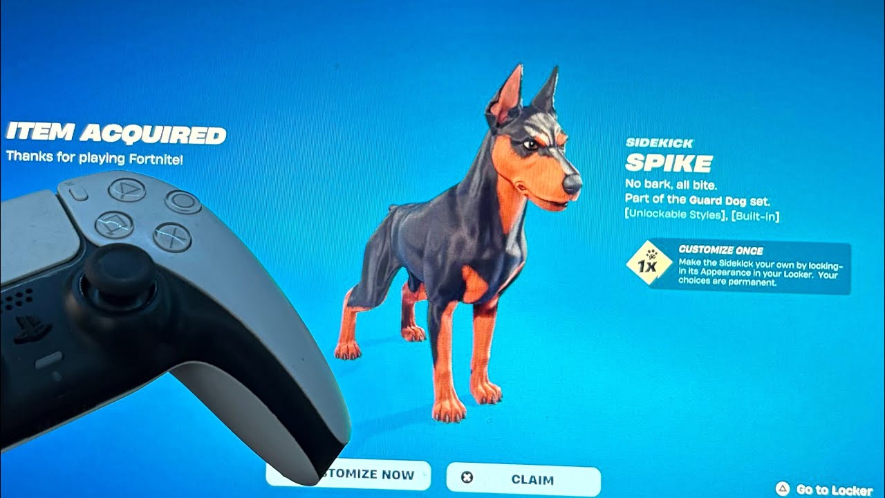 How To Get ALL Pet Sidekicks For FREE In Fortnite! - YouTube