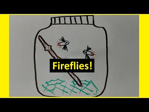 Why Do Fireflies Blink At The Same Time