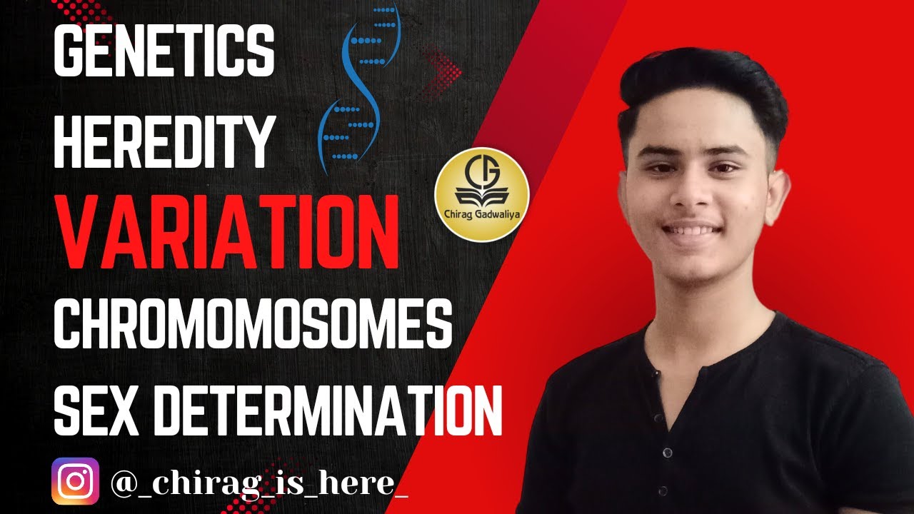 GENETiCS, HEREDiTY, VARiATiON, CHROMOSOMES & SEX DETERMiNATiON | in ...