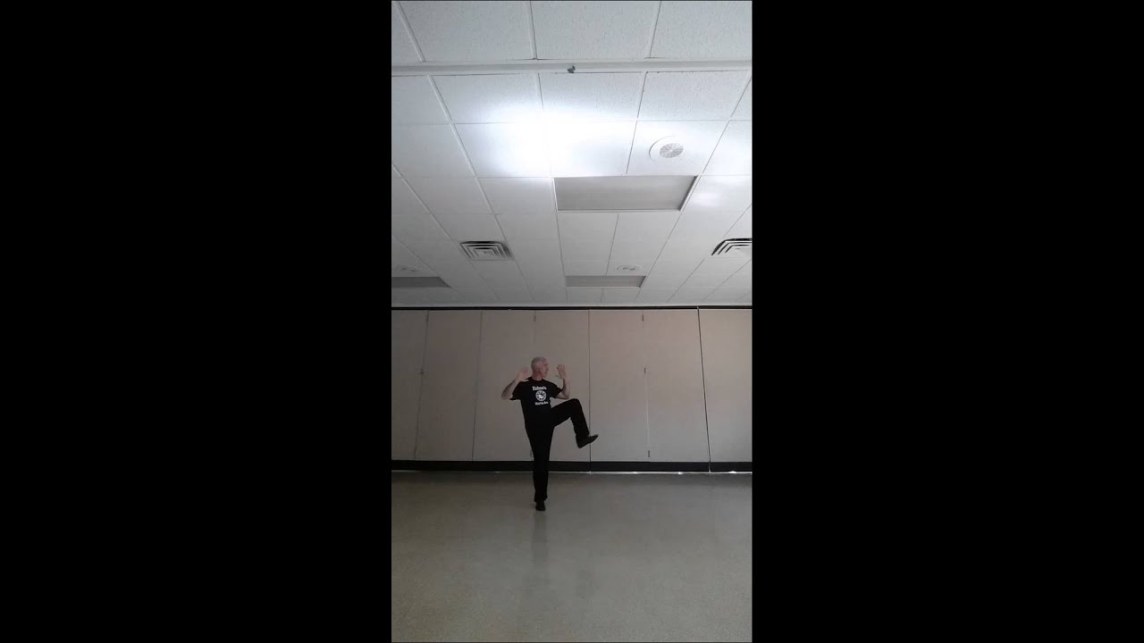 Sun Style Tai Chi 73 Forms - YouTube