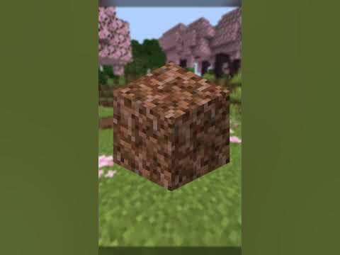 Hardest block to get in minecraft? #shorts #minecraft #minecraftshorts ...