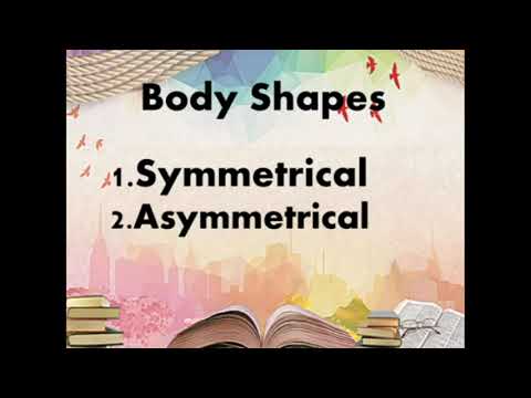 Physical Education 2-Body Shapes - YouTube