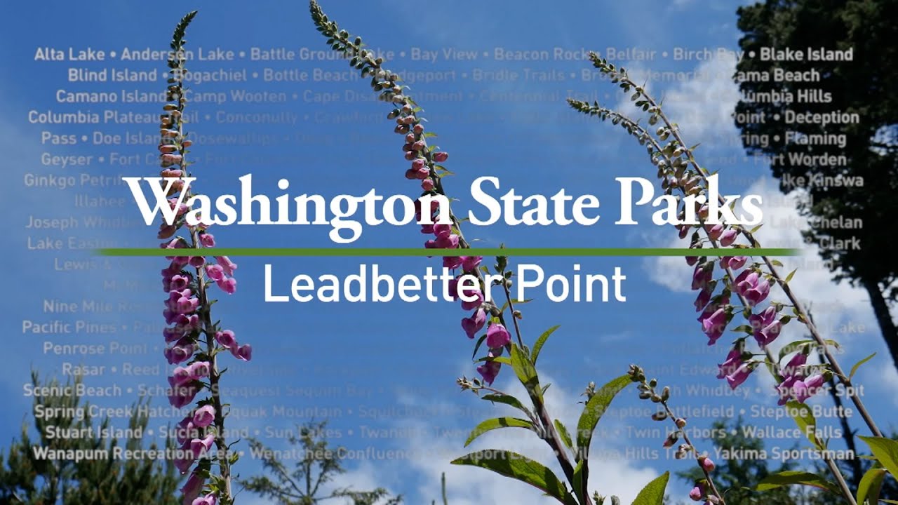 Leadbetter Point State Park - YouTube