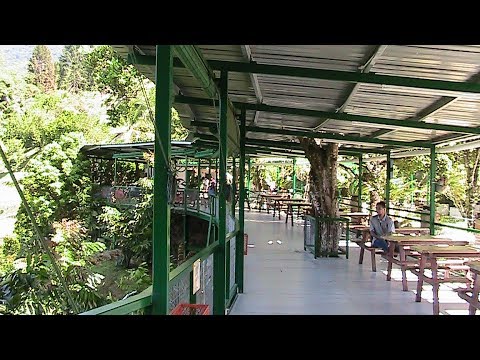 Fruit farm with an amazing range of tropical fruits, Penang - Malaysia ...