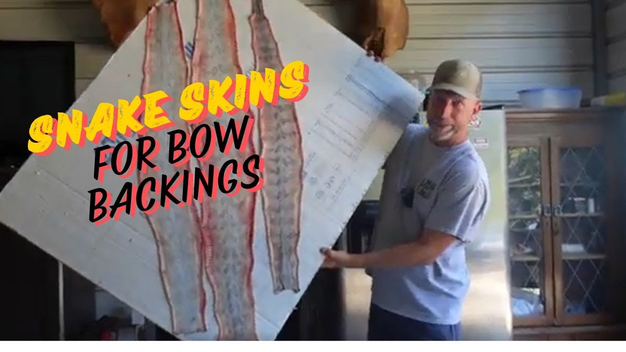 SKINNING SNAKES FOR BOW BACKINGS - YouTube