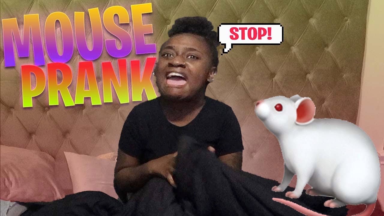 EPIC MOUSE PRANK ON WIFE *HILARIOUS* - YouTube