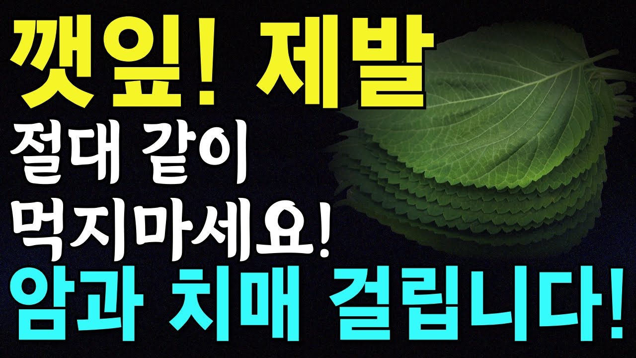 깻잎과 상극인 음식 Top 3 절대 같이 먹지 마세요 노년기 건강이 위해 먹는 음식 비싼 영양제 대신 꼭 이렇게 드세요 당뇨