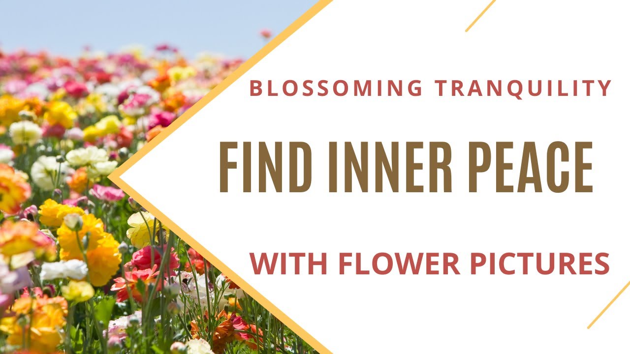 Blossoming Tranquility: Find Inner Peace with Flower Pictures - YouTube