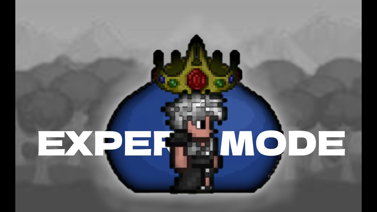 Aku akan melawan duke fishron🔴 | Terraria expert mode - YouTube