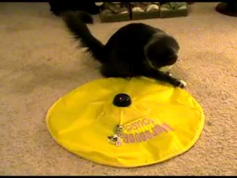 Panic Mouse Undercover Mouse - YouTube