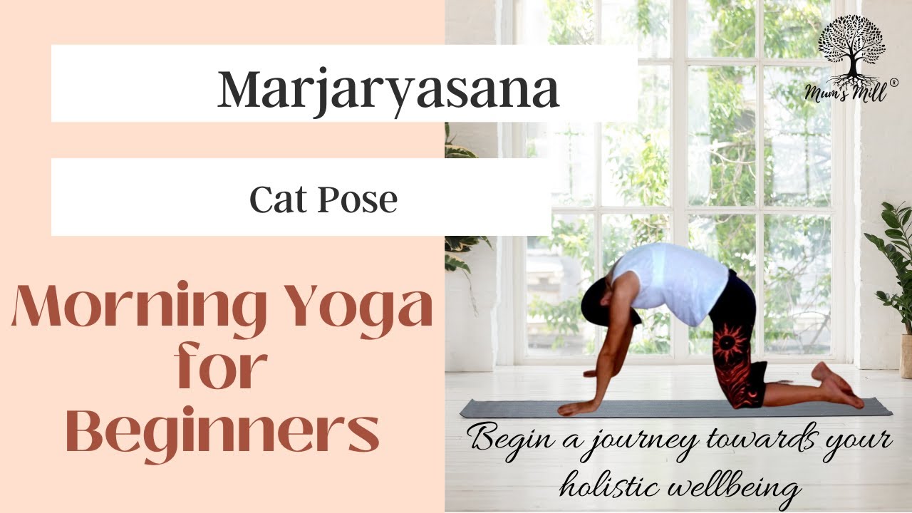 Yoga for Beginners | Marjariasana (cat pose) | for Spinal Strength ...