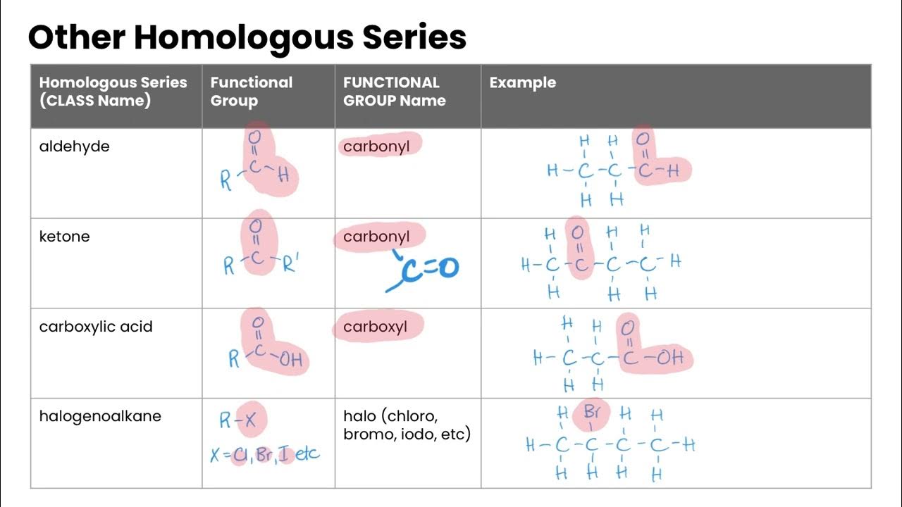 Homologous Series in Organic Chemistry | An Overview of Classes and ...