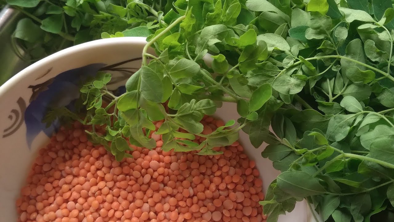 সজনে পাতা দিয়ে মুশুরি ডাল/Mushuri dal with sajna leaves - YouTube