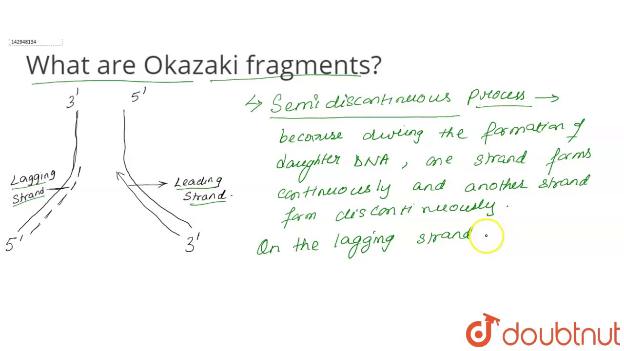 Okazaki Fragments Definition Biology