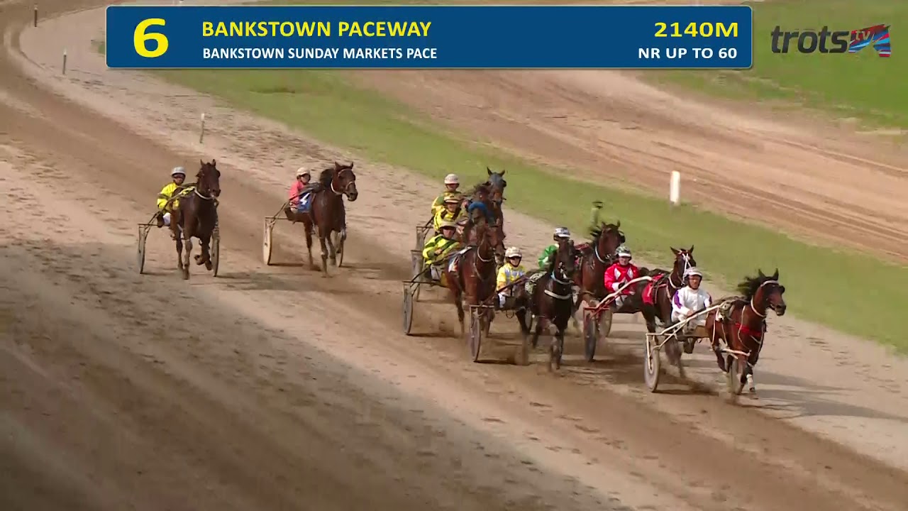 BANKSTOWN - 24/01/2020 - Race 6 - BANKSTOWN SUNDAY MARKETS PACE - YouTube