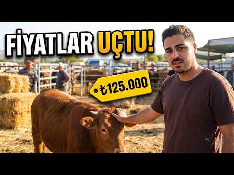 Hayvan Pazarı Gezisi: Düve, Halep Keçisi ve Saman Fiyatları