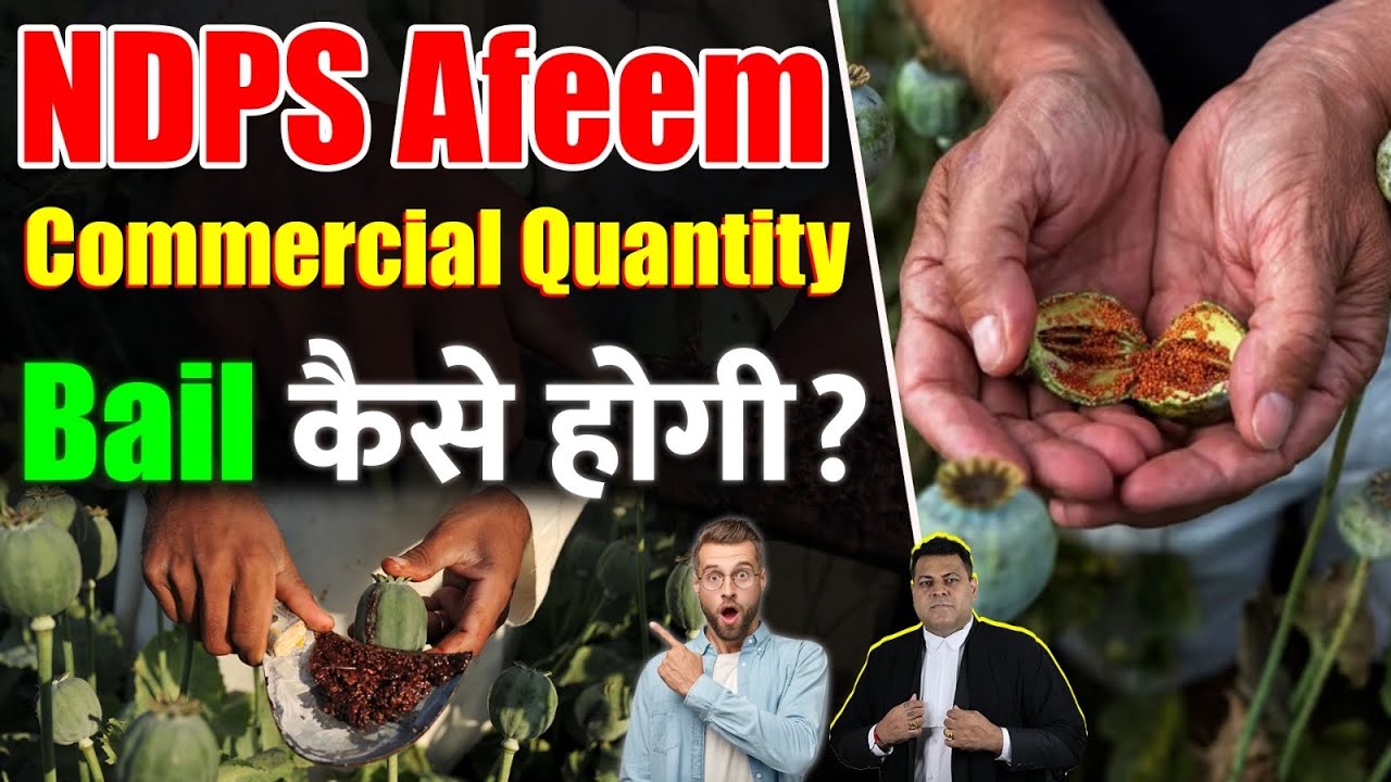NDPS अफ़ीम/Afeem Commercial Quantity Case🤝 - YouTube