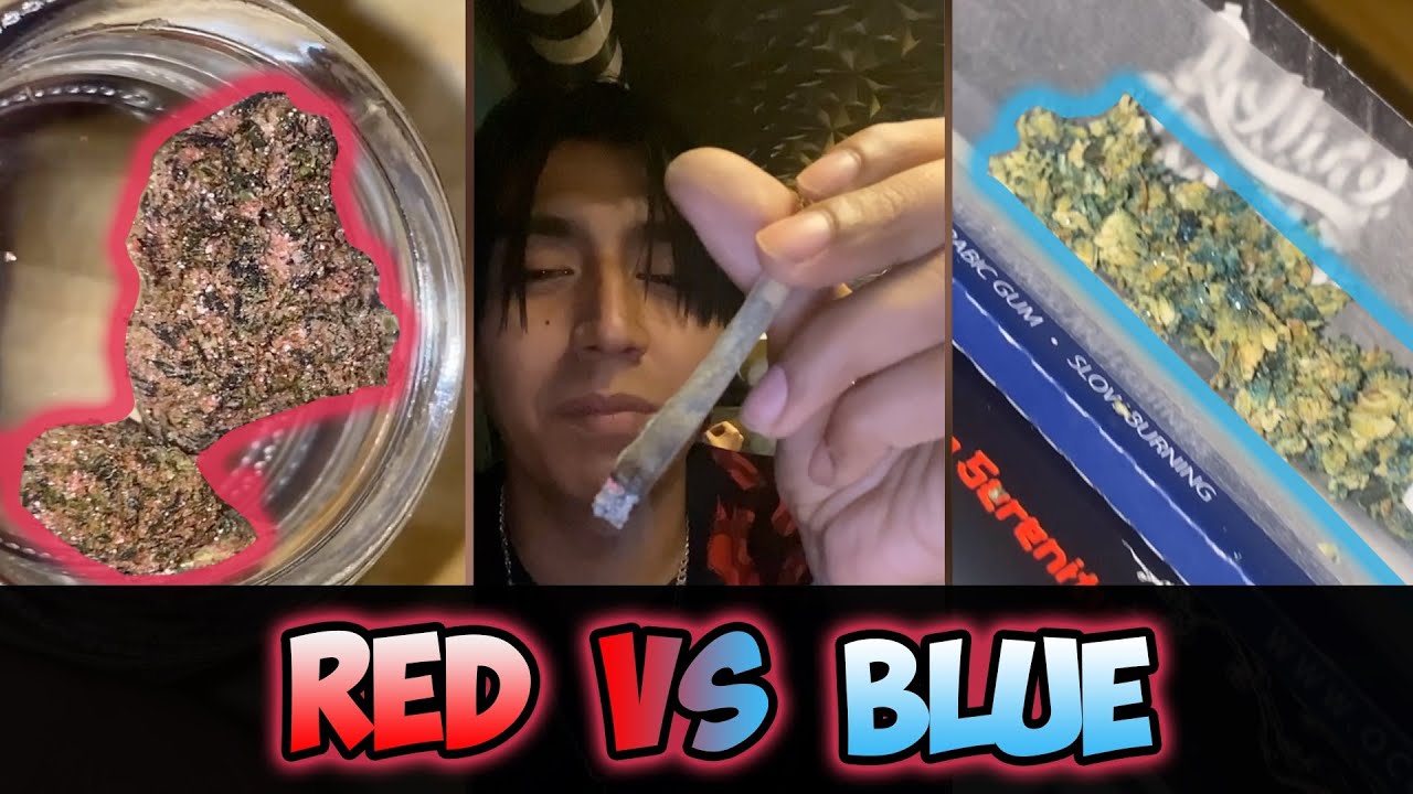 Red vs Blue!! Moon rocks Review! #143 - YouTube