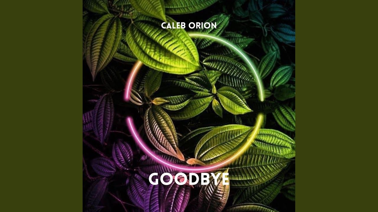 Goodbye (Radio Edit) - YouTube