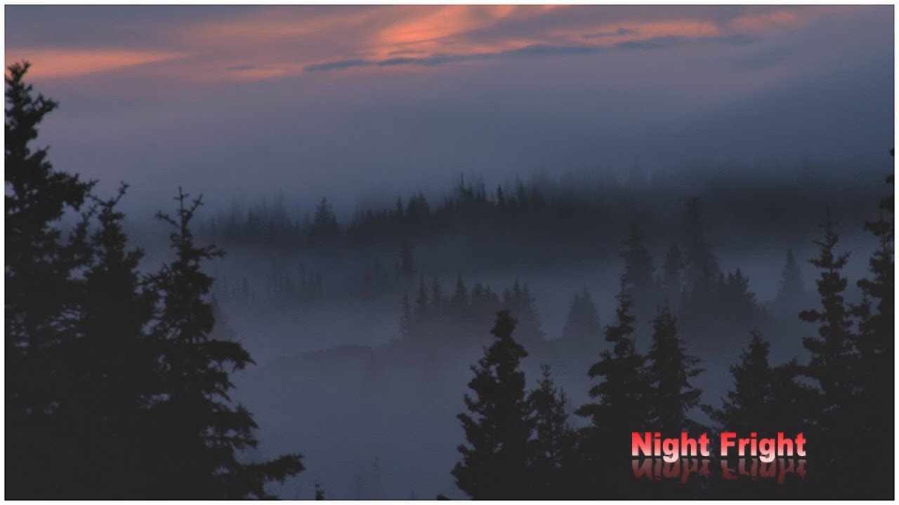 Wolfman Werewolves Video Real Sightings Shifters Big Foot Dog Man Linda ...