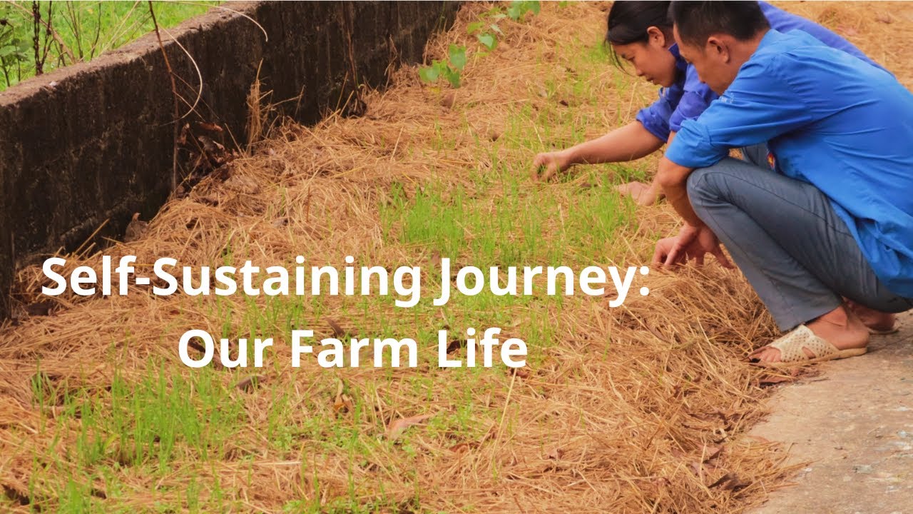 Building a Self-Sustaining Farm Together: From Orchard to Livestock - YouTube