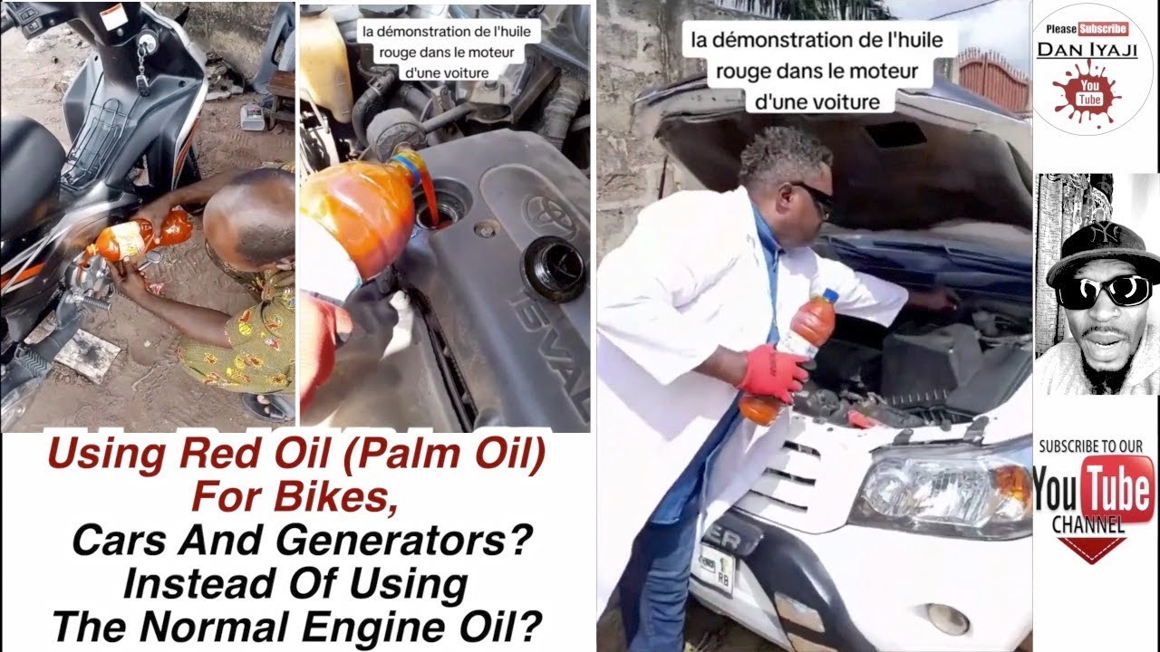 Using Red Oil Palm Oil For Cars, Bikes And Generators? Instead Of Using ...