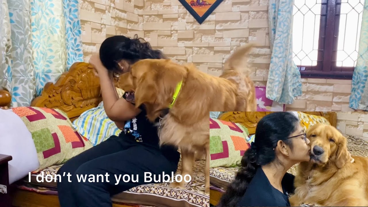 Ignoring Bubbles ️🫰🏻🥹 Bubbles hates kisses 😘 - YouTube