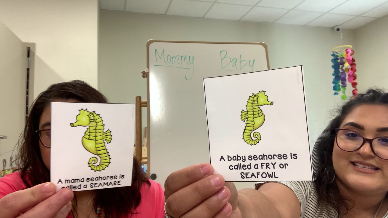 Ocean Animal Mommy and Baby - YouTube