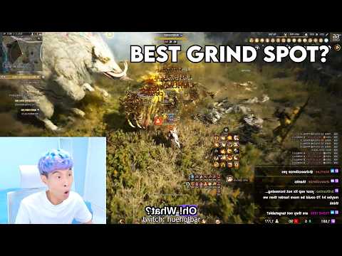 BEST GRIND SPOT 2027? | Black Desert Highlights