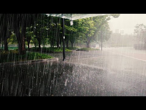 (4K) Walking in Heavy Rain | Rainstorm Sounds for Relaxation | Lake Park | S.Korea | 비바람 몰아치는 호수공원