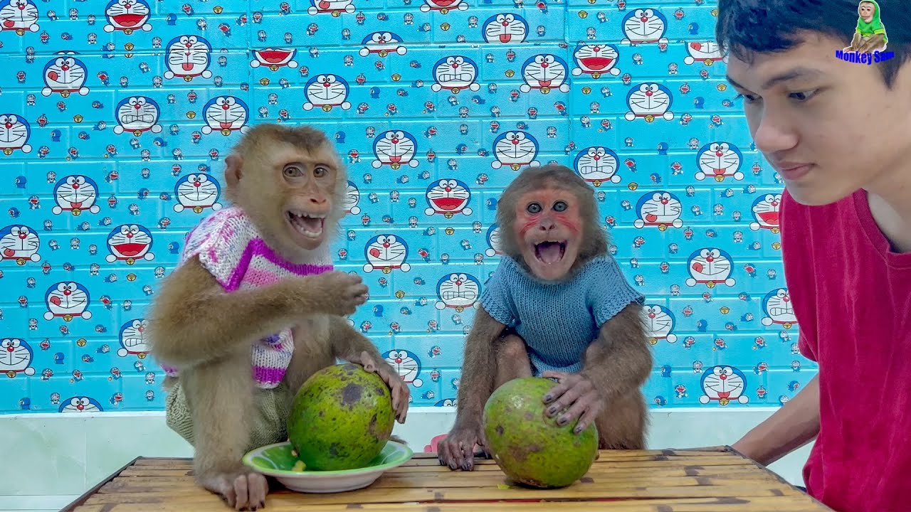 How will Sam & Asher enjoy butter without milk? - YouTube