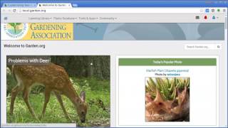 Garden.org Tutorial: Customizing your homepage