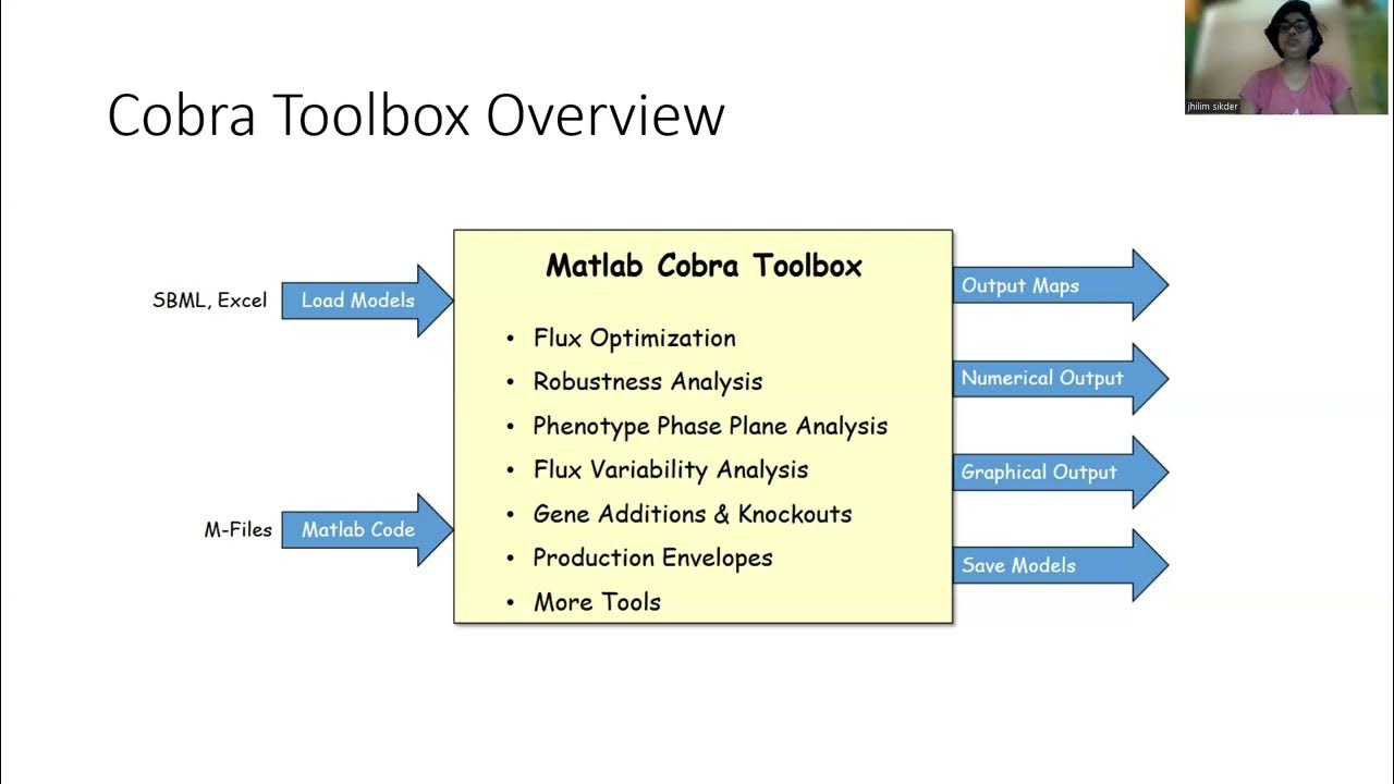 Cobra Toolbox Jhilim Sikder - YouTube